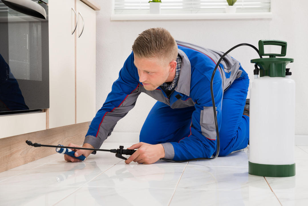 10 Dangers of Avoiding Pest Control - All-State Pest and Lawn